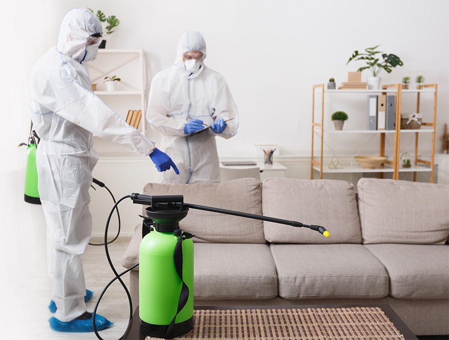 Home - The Clean Culture